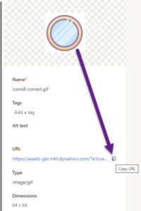 Change Default Form Submitted Image For Real-time Forms