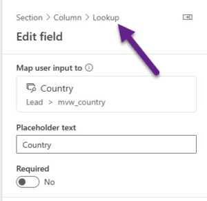 Lookup Fields With Default Option Available On Realtime Form